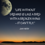 33 Dream Quotes For Motivation And Inspiration - Grrlwithdreeams