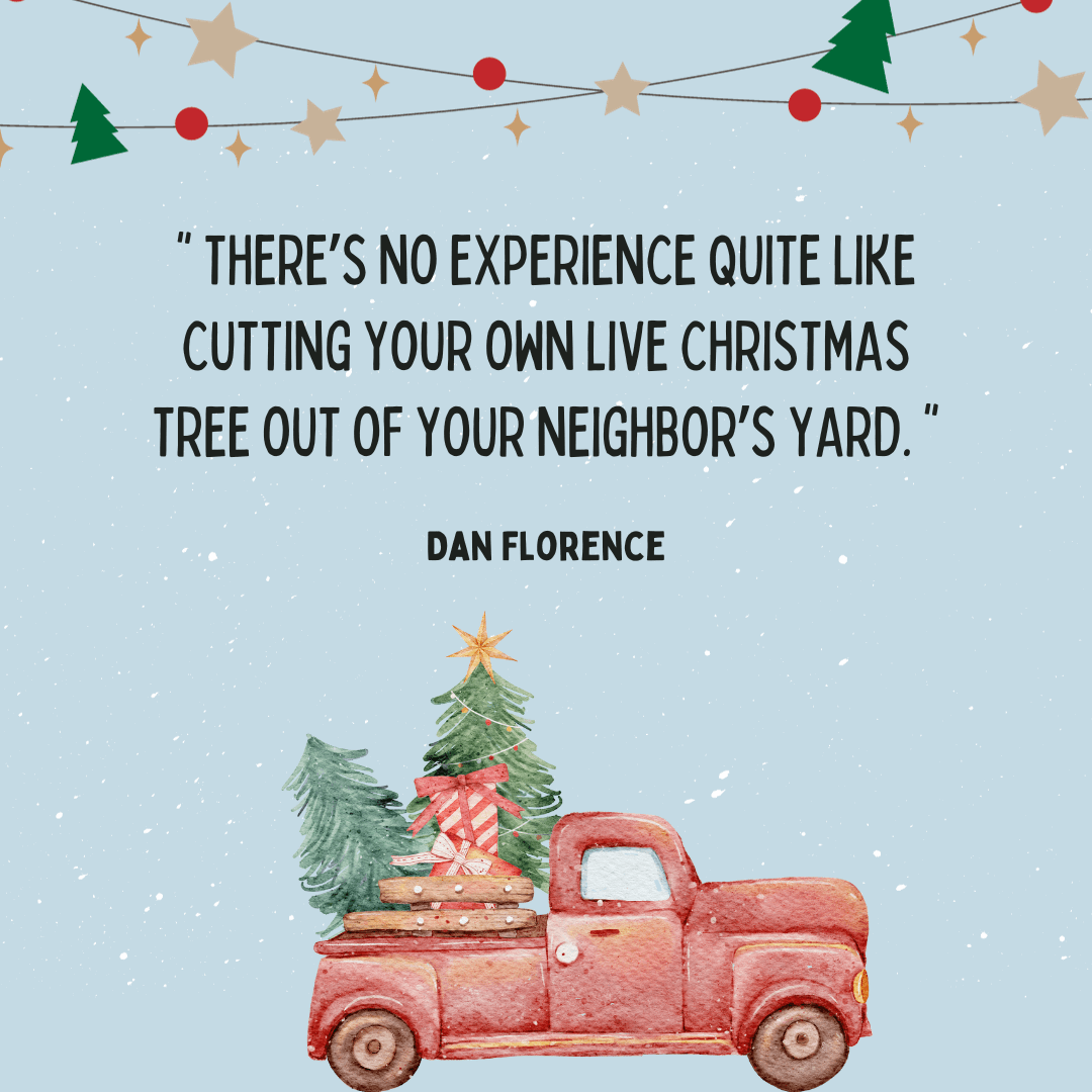 30 Christmas Tree Quotes to Spruce Up Your Holiday Spirit - Grrlwithdreeams