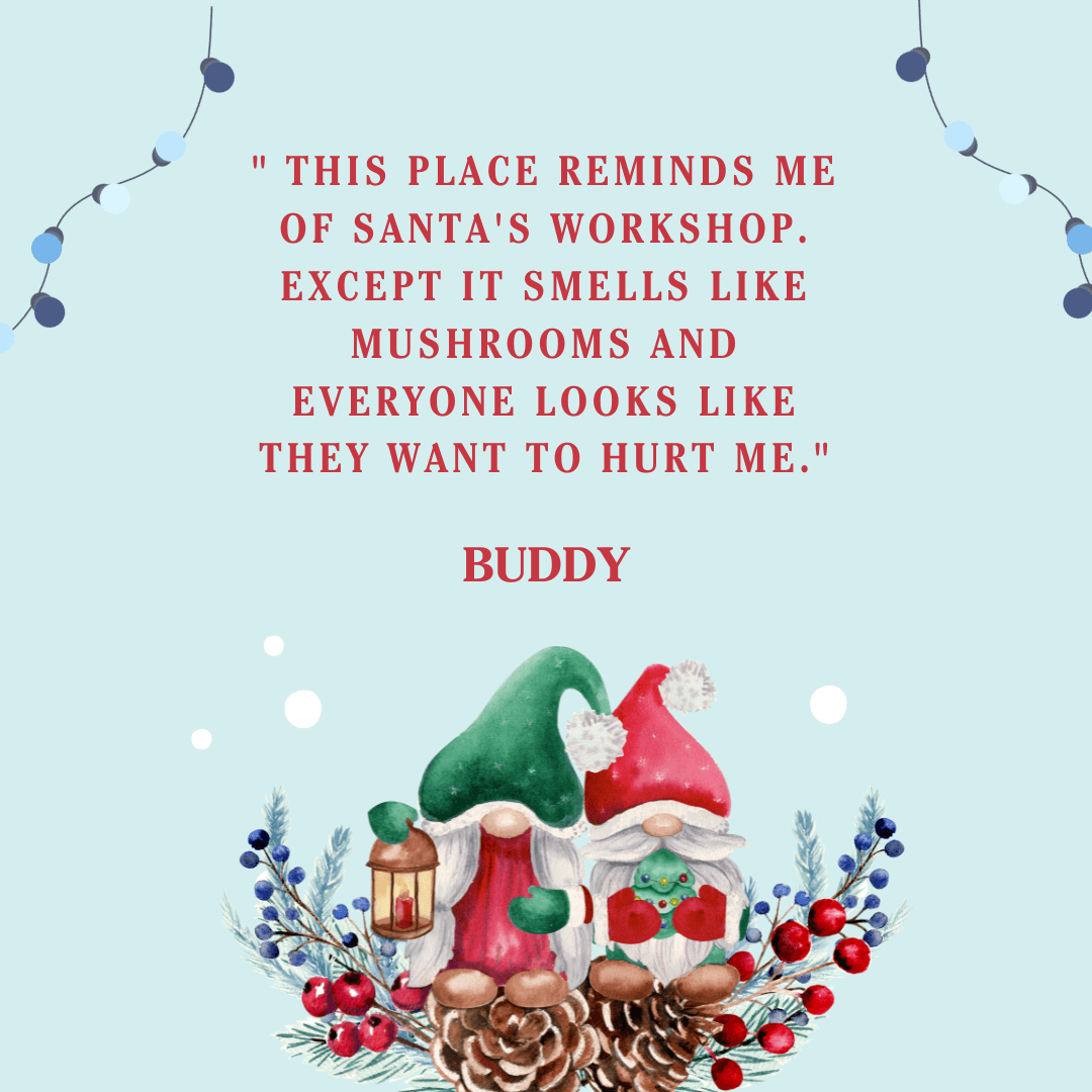 30 Best Funniest Quotes From Elf Movie - Grrlwithdreeams