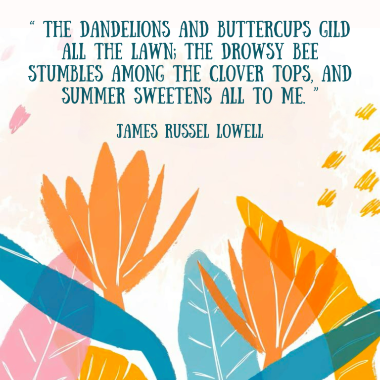 50 Summer Quotes That Will Make You Feel the Sunshine - Grrlwithdreeams
